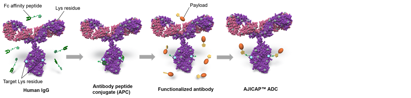 The 140th Annual Meeting of the Pharmaceutical Society of Japan (Kyoto ...